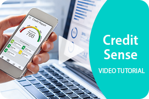 Credit Sense - Signature Bank of Georgia